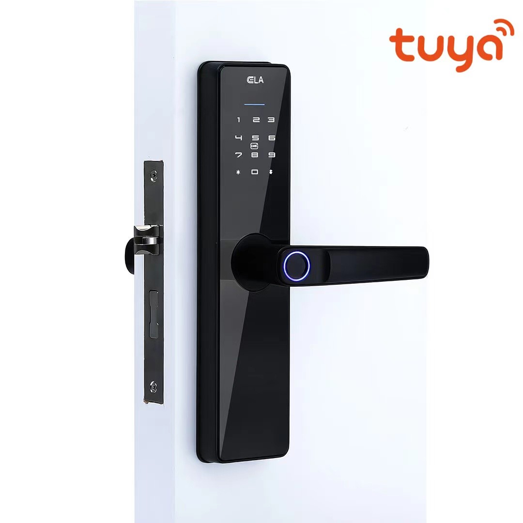 Family Fingerprint Passcode Lock , Tuya APP Wifi Smart Door Locks